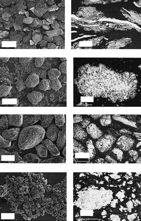 External Appearance A C E G And Microstructure Of The Particles Download Scientific
