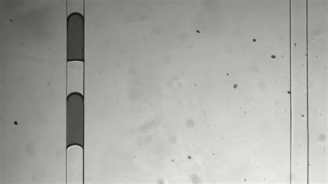 2 In Bypass 2 In Channel Movie S3c YouTube