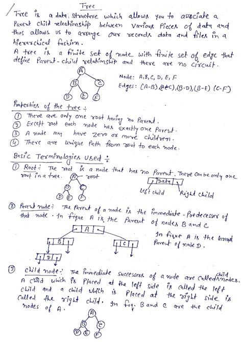 Tree Data Structures Bachelors Of Technology Studocu