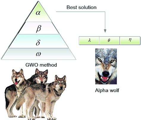 The Relationship Between The Gwo And Loss Function Coefficients