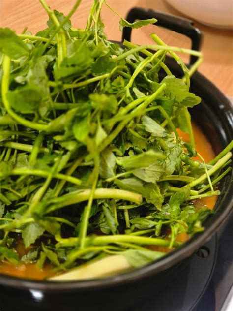 왕십리 맛집 얼큰버섯 샤브샤브 등촌샤브칼국수 왕십리역점 네이버 블로그