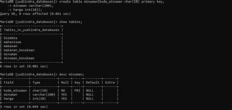 bagaimana mengenal command prompt cmd dan juga menggunakan xampp