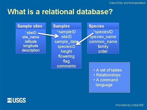 Lesson 2 1 Data Collection Entry And Manipulation