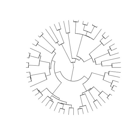 Multidimensional Biodiversity Data Management And Analysis Summarizing Phylogenetic Data