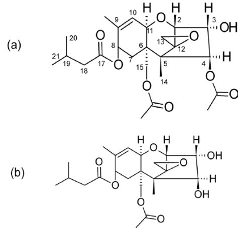 Chemical Structure Of A T 2 Toxin M W 466 5 And B Ht 2 Toxin Download Scientific