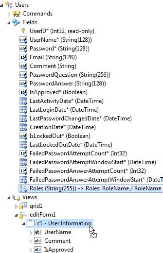 Code On Time Security Membership And Role Providers User Manager Advanced Adding Roles
