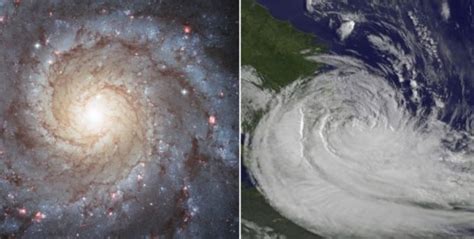 Video Nature By Numbers The Fibonacci Sequence