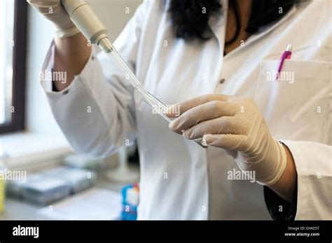 Closeup Of A Female Scientist Filling Test Tube With Pipette In Lab Stock Photo Alamy