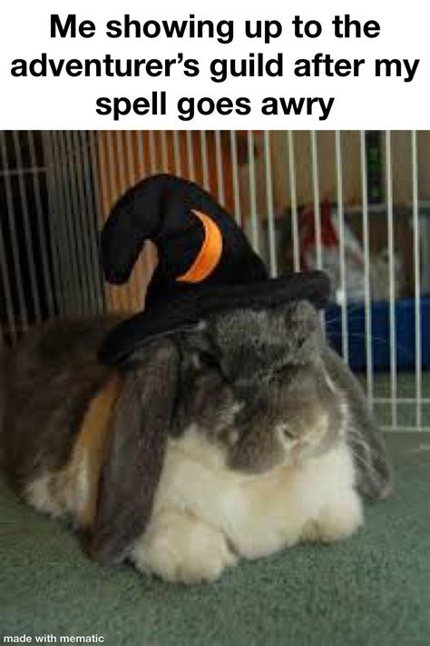 Help R Wizardposting