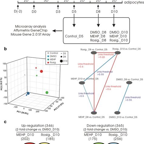 Microarray Data Biological Process Classification A Pathway Enrichment