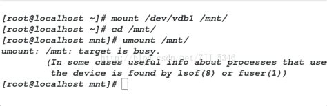 linux存储设备的管理与分区 mkxfs csdn博客