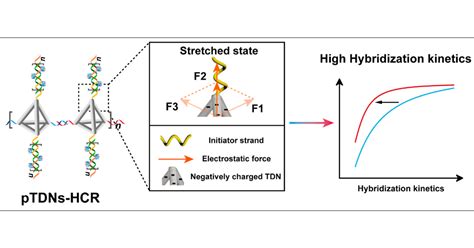 Accelerated Hybridization Chain Reaction Kinetics Using Poly Dna Tetrahedrons And Its