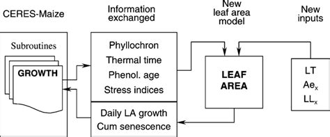 Schematic Diagram Of The Linkage Of Our New Leaf Area Model And Download Scientific Diagram