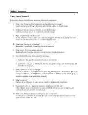 M Assignment Module Assignment Name Lauren Trammell Directions