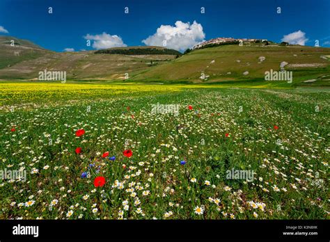 Castelluccio Di Norcia Sibillini National Park Umbria Italy