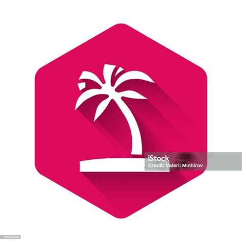 하얀 열대 야자수 아이콘은 긴 그림자 배경으로 분리되어 있다 코코넛 야자수 핑크 육각형 버튼 벡터 0명에 대한 스톡 벡터 아트 및 기타 이미지 Istock