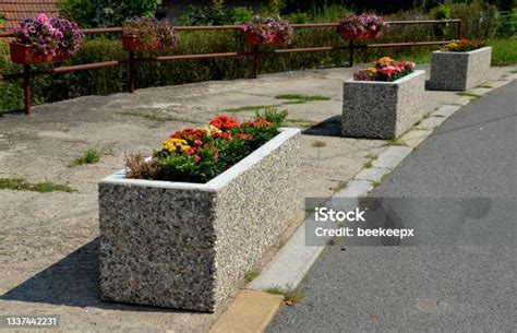 벤치 폴리 카보네이트 버스 정류장 근처 콘크리트와 갈색 플라스틱 상자에 연간 식물의 사용 자전거용 콘크리트 주차 조약돌에 대한 스톡 사진 및 기타 이미지 Istock