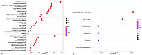 Functions And Pathways Analysis Of Differentially Expressed Rbps A