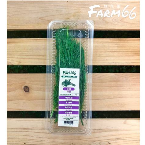 Dill 刁草 意大利 Farm66