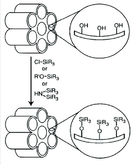 Functionalization Of Mesoporous Silica By Grafting Barczak 2019