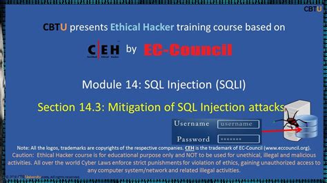 143 Sql Injection Attack Mitigation Techniques Youtube