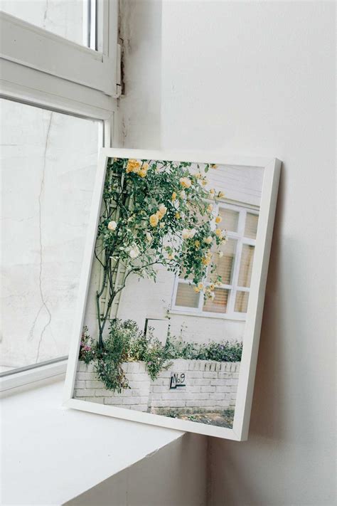 그림·사진 인테리어 아트포스터 Rosebush 수플 A1 50x70 A2 사이즈 오늘의집 쇼핑