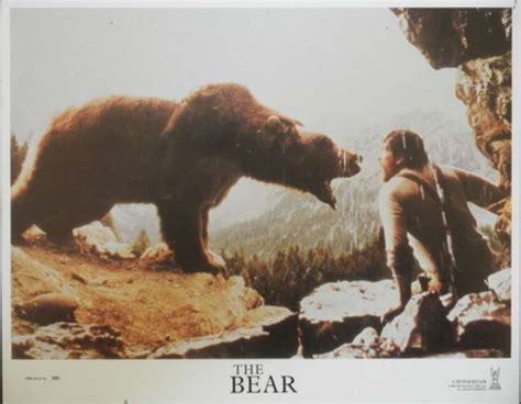 All About Movies The Bear 1988 Lobby Card Aka Lours