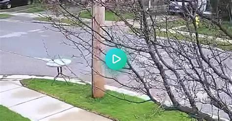 Perfectly Good Table Not Anymore Album On Imgur