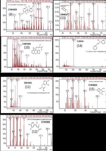 MS Fragmentation Pattern Of Compounds 9 15 Download Scientific Diagram