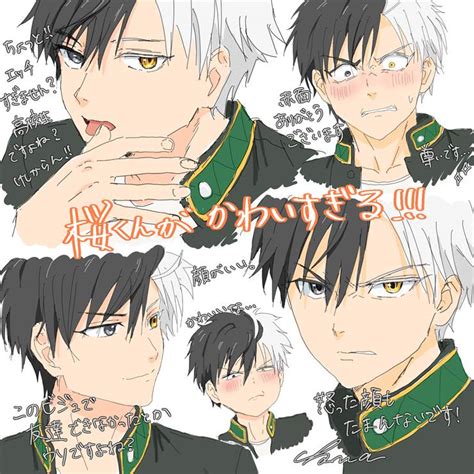 苏枋隼飞樱遥梶莲图片尺寸1800x1800 Bobopic