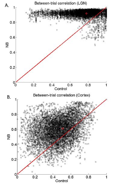 A Between Trial Correlation In Lgn B Between Trial Correlation In Download Scientific