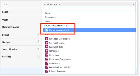 How To Use Advanced Custom Fields For Efficient Post Filtering Blog