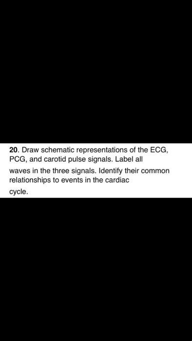 Solved 20 Draw Schematic Representations Of The Ecg Pcg