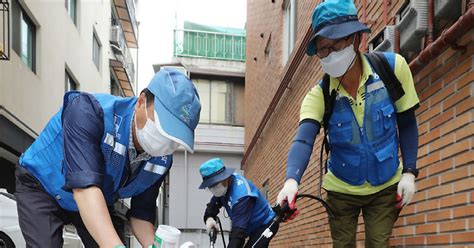 모기 유충 미리 잡는다