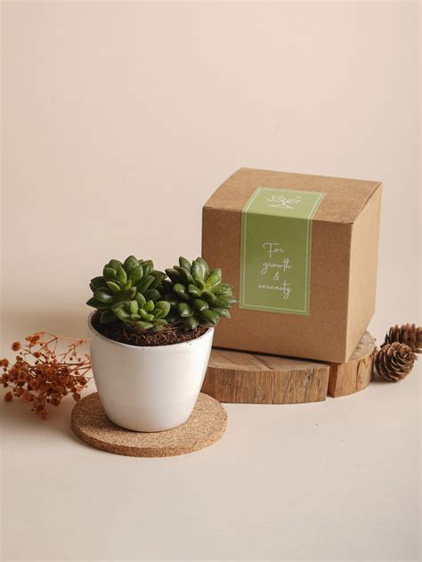 Choco Thins Milk Chocolate Sytara