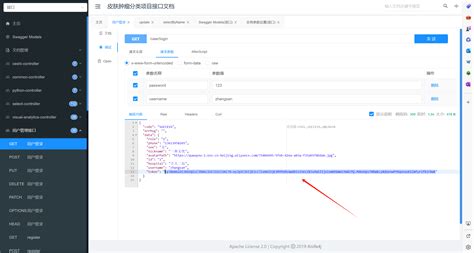 Swagger接口文档 手把手教学全方位超详细小白能看懂百分百能用Java版 阿里云开发者社区