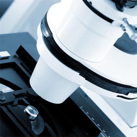 Spectro Spectrometer Application Industrial At Best Price In