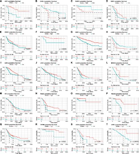 Figure 5 From A Pan Cancer Multi Omics Analysis Of Lactylation Genes Associated With Tumor