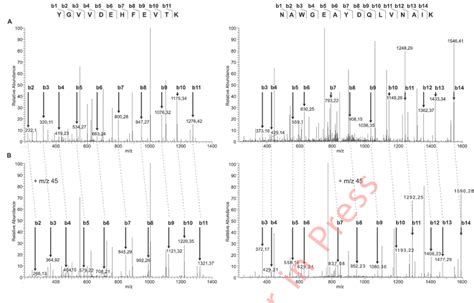 comparative analysis of lc ms ms ms spectra of y containing peptides