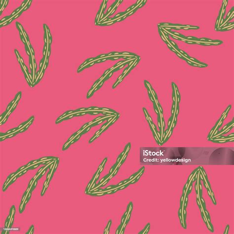 녹색 무작위 해초 장식과 수생 해양 단풍 원활한 패턴 분홍색 배경 심플한 디자인 0명에 대한 스톡 벡터 아트 및 기타 이미지 0명 가능성 계절 Istock