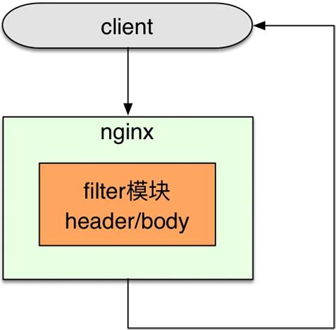 Nginx模块开发之过滤器filter 知乎