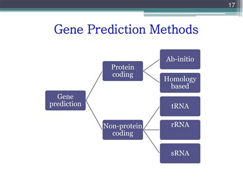 Ppt Gene Prediction Powerpoint Presentation Free Download Id3384560