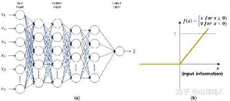 在训练神经网络时，为什么大多数情况下在隐藏层使用relu而不是在输出层使用relu？ 知乎