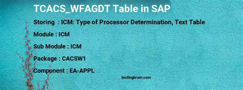 TCACS WFAGDT SAP Table For ICM Type Of Processor Determination Text Table