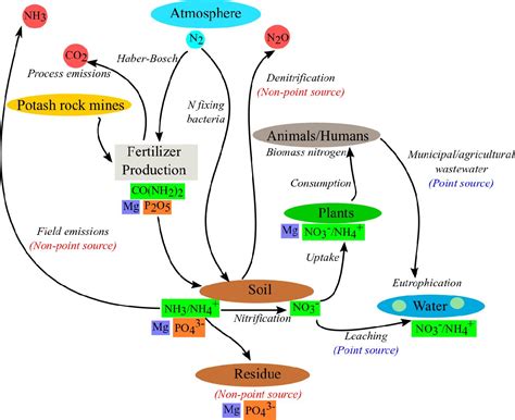 Figure 1 From A Review Of Phosphate Adsorption On Mg Containing Materials Kinetics Equilibrium