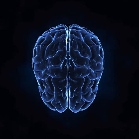 How Can I Improve My Cognitive Function Naddirect