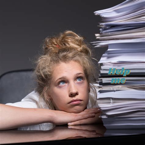 Virtual Assistant For Dog Training Businesses Canine Va