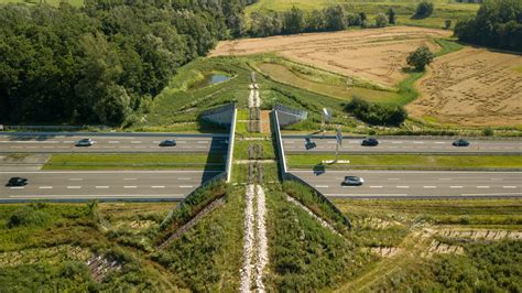 552 Landscape Overpasses Ecoducts Green Bridges And Wildlife