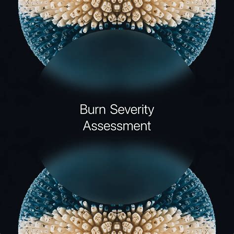 Burn Severity Assessment → Term