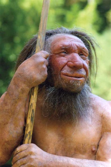 When Did Humans First Appear On Earth Human Evolution Facts